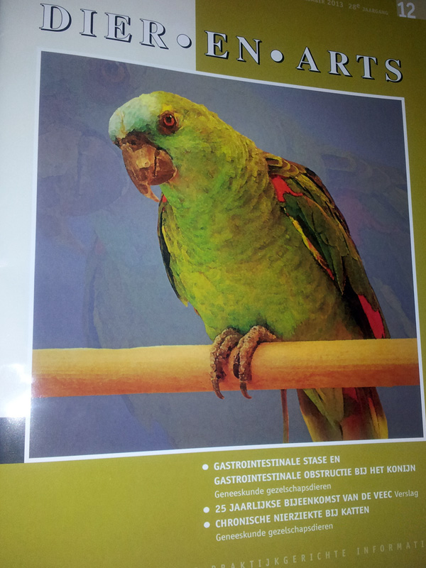 Unique-Original-Artworks-Kats-Originals Kats Originals